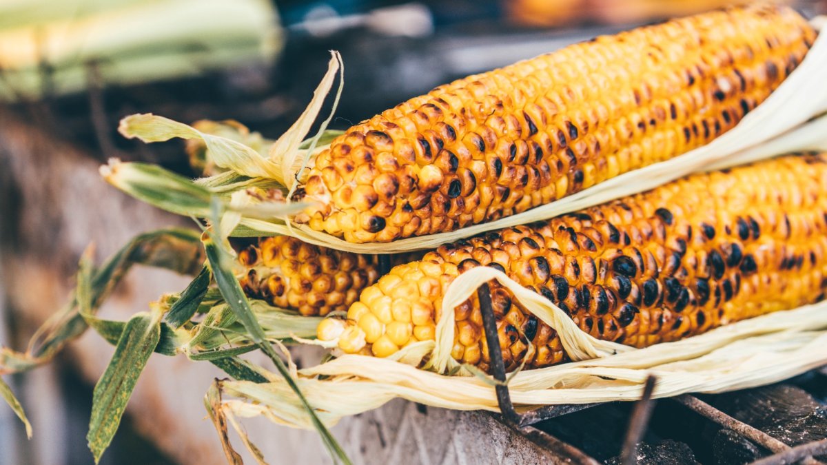 Pop by Tanaka Farms for the summer-yummy ‘Corn-O-Copia’ – NBC Los Angeles