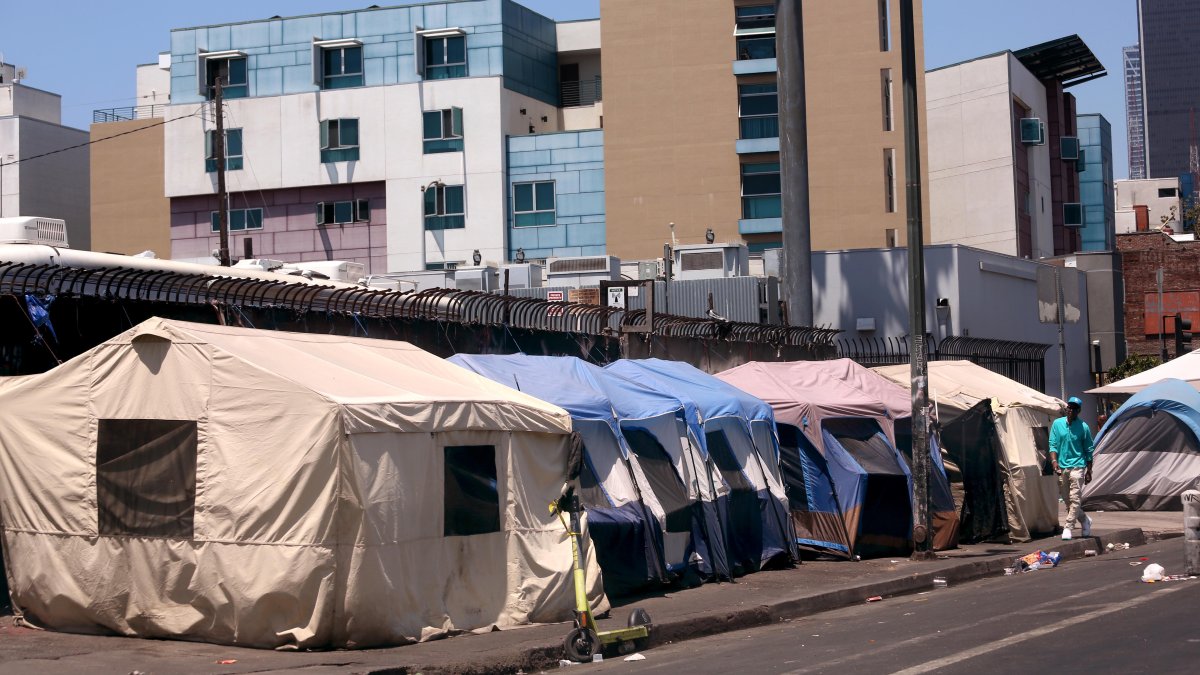 New initiative looks to curb animal cruelty on Skid Row – NBC Los Angeles