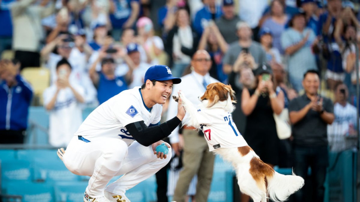 Los Angeles Dodgers news: Shohei Ohtani and his dog Decoy steal the ...
