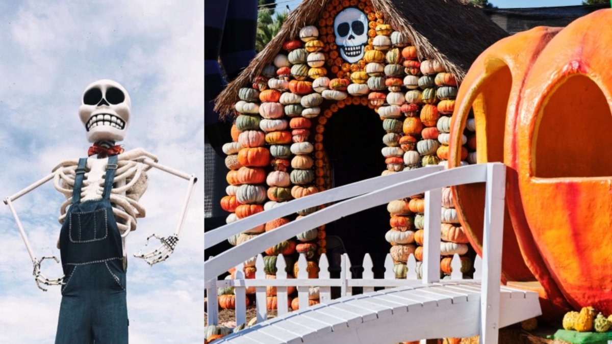 The charming Mr. Bones Pumpkin Patch rolls for Culver City this fall ...