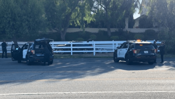 Burglary suspects crash near horse trail in Porter Ranch – NBC Los Angeles