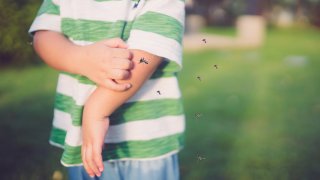 West Nile virus detected in positive mosquito sample in Riverside ...