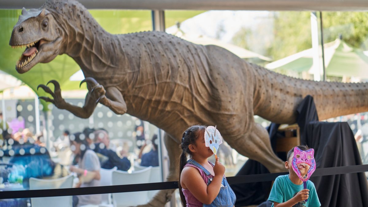 ‘Dino Fest’ shines a fascinating light on rare and ‘rawr’ fossils – NBC ...