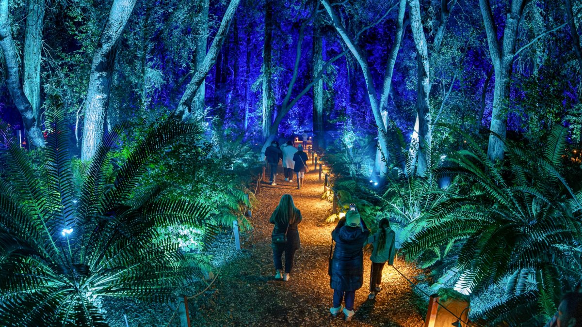 Roam a garden full of glow: ‘Enchanted’ tickets are going on sale – NBC ...