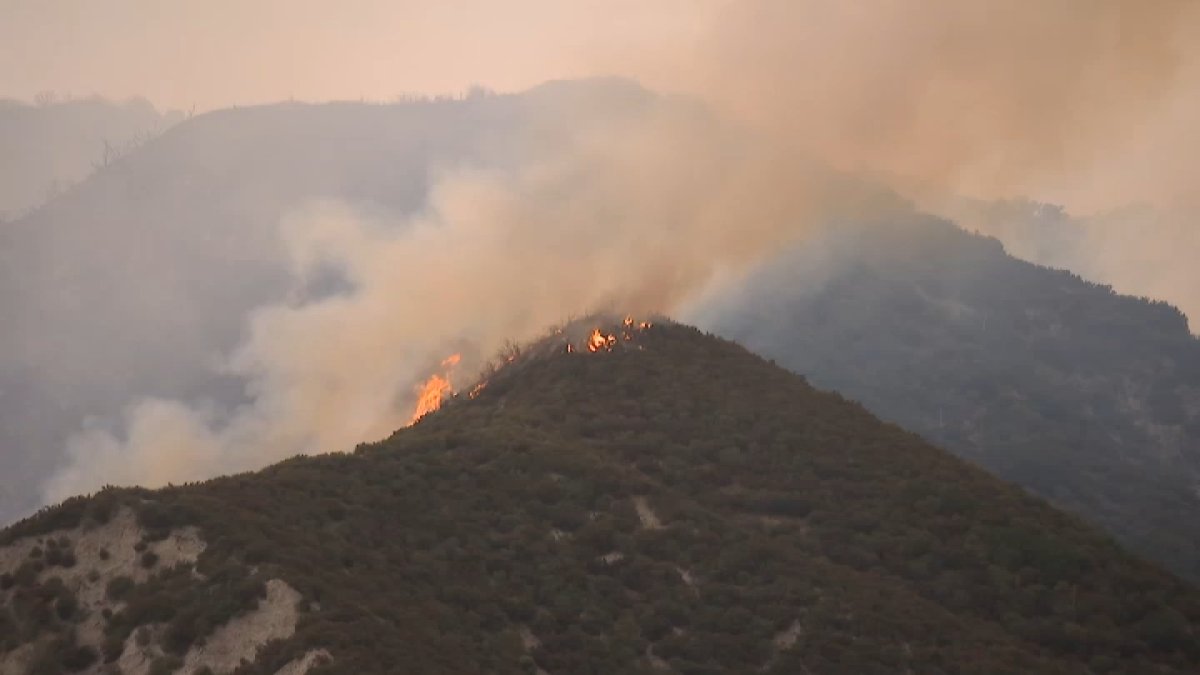 Line Fire latest: Blaze grows to 23,000 acres – NBC Los Angeles