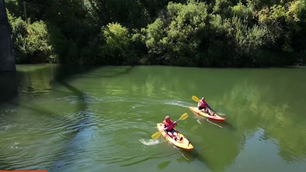 Experience the ultimate kayak adventure on Sonoma County’s Russian ...