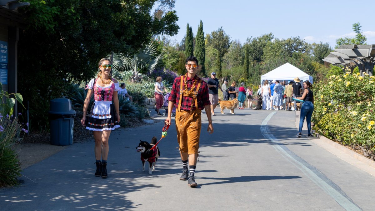 ‘Dogtoberfest’ is open at this sunny SoCal spot – NBC Los Angeles