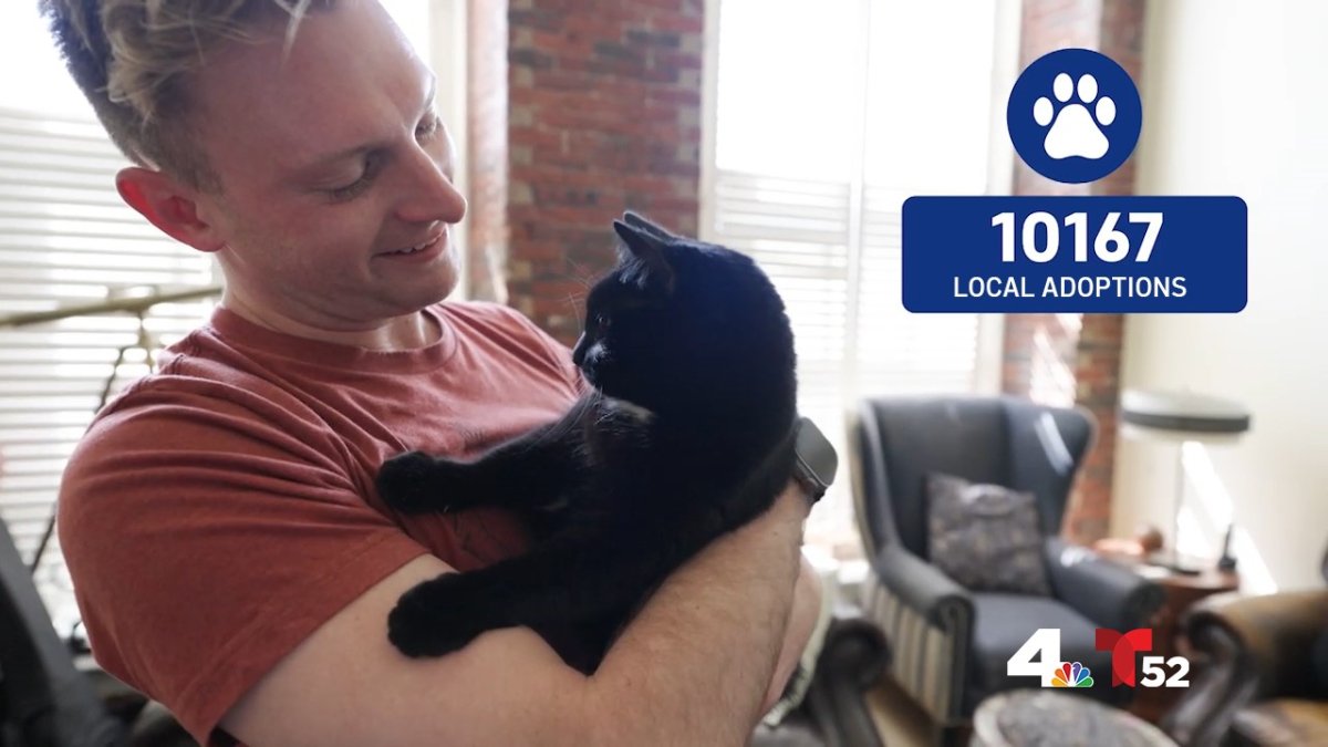10th Annual ‘Clear the Shelters’ campaign led to more than 10,000 pet ...