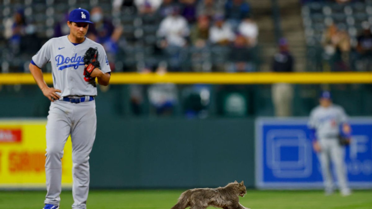 Los Angeles Dodgers news: Dodgers players reveal the strangest animals ...