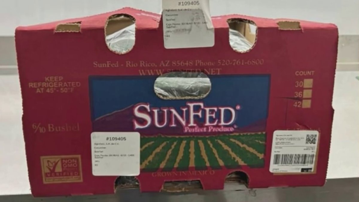 SunFed cucumbers latest to be recalled for salmonella contamination ...