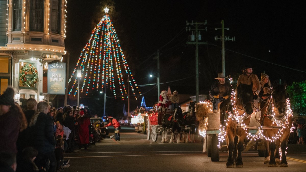 Festive Ferndale’s mega Christmas tree is a Humboldt County classic ...