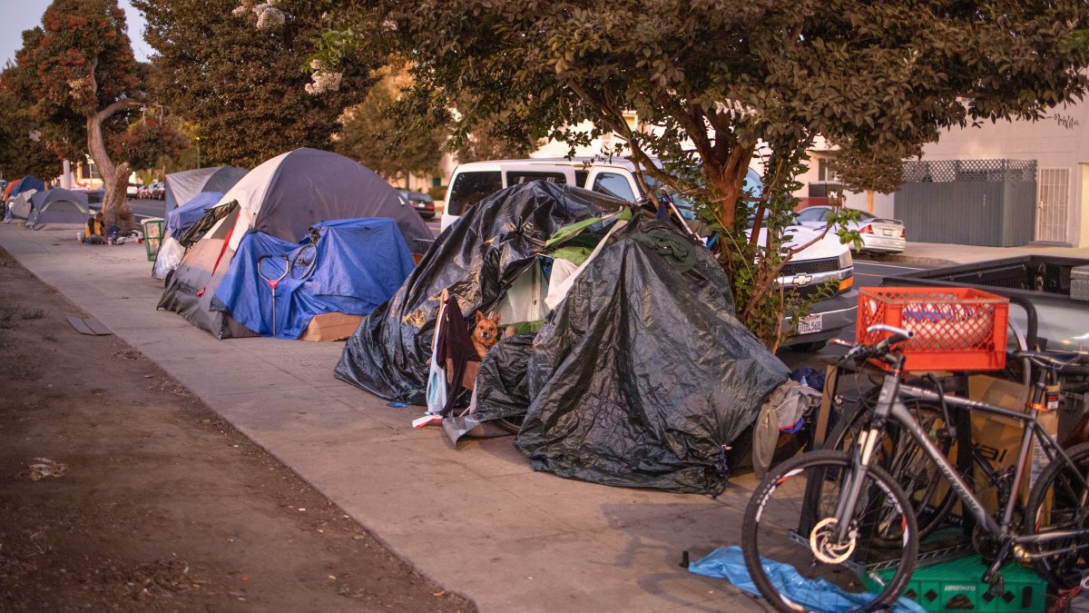 Santa Monica College offers program helping homeless – NBC Los Angeles