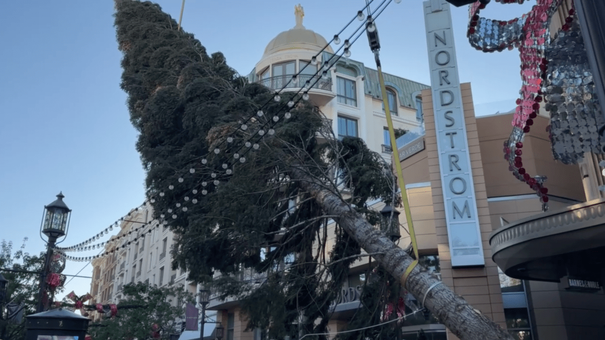 Christmas tree arrives at Americana at Brand mall in Glendale – NBC Los ...