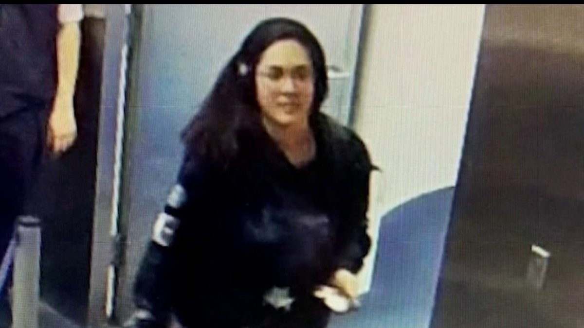 Search continues for Hawaii woman who disappeared from LAX – NBC Los ...