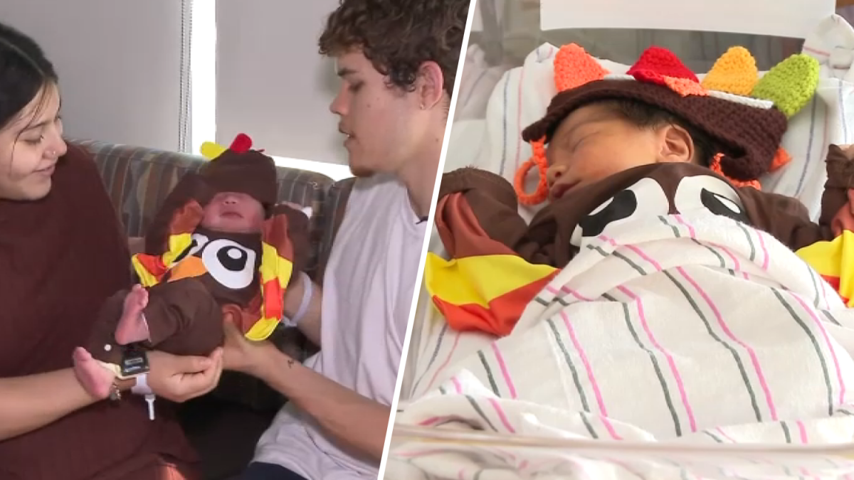 Orange County newborns dress up as Thanksgiving turkeys – NBC Los Angeles