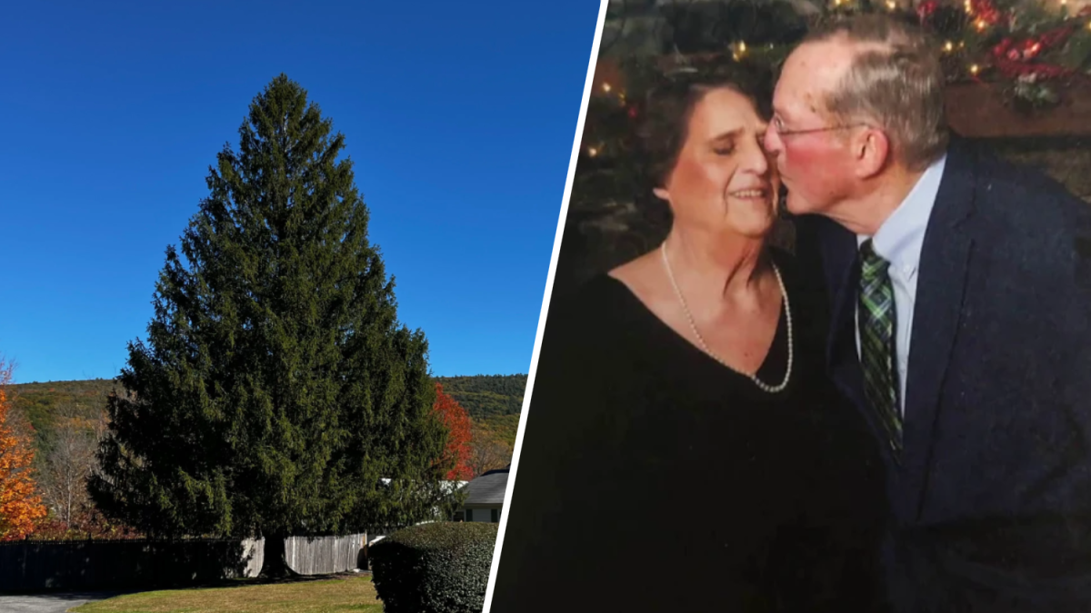 Rockefeller Center Christmas tree family gives health update on widower ...