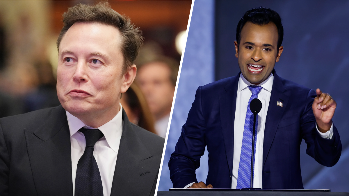 Will Elon Musk and Vivek Ramaswamy’s new ‘department’ actually be able ...