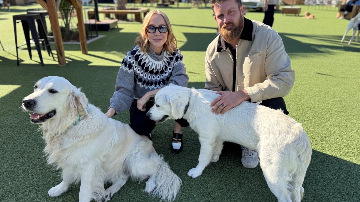 Discover LA’s first canine social club, where humans are merely guests ...