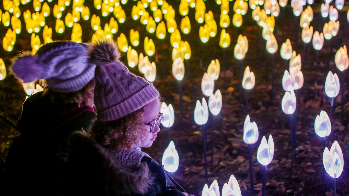 Bask in SoCal’s floral beauty after the Rose Parade wraps – NBC Los Angeles