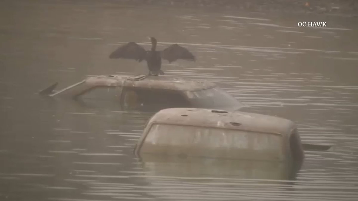 3 submerged vehicles found at Santa Ana park – NBC Los Angeles