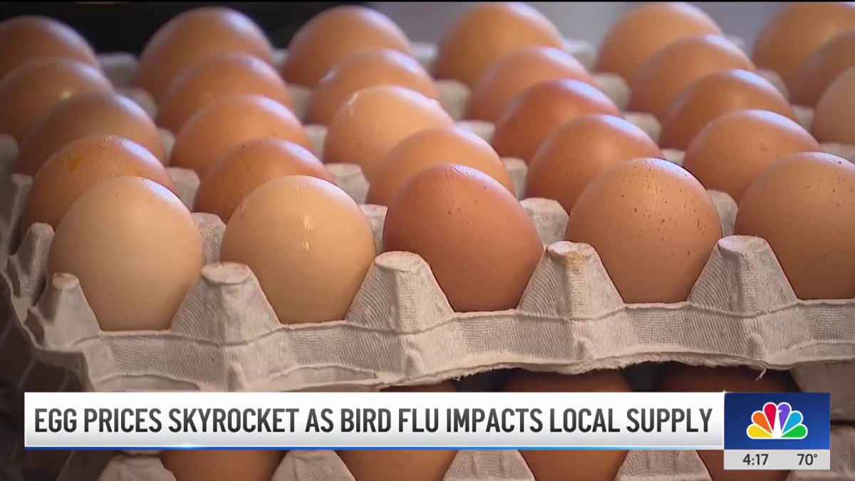 Chino farm’s business booms with grocery store’s increasing egg prices ...