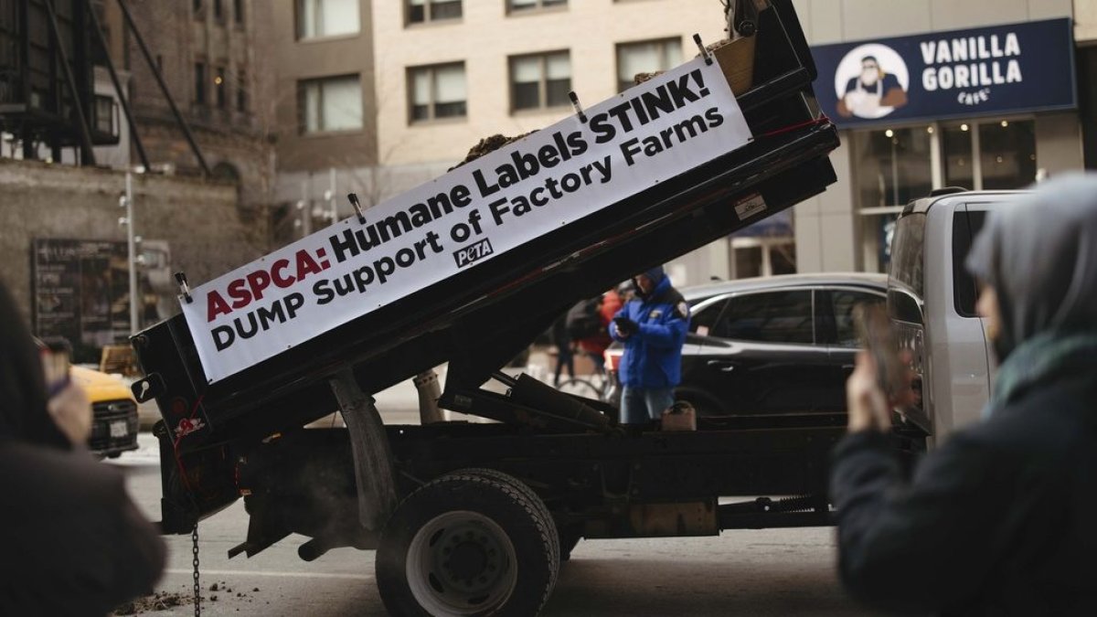 PETA poop stunt: Activists arrested dumping manure in NYC – NBC Los Angeles