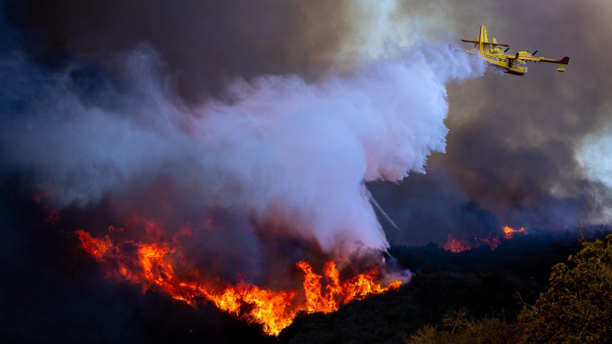 Super Scooper planes that fight wildfires are ‘rugged, reliable’ and ...