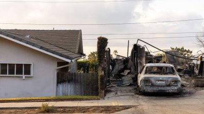 What is defensible space? The step-by-step guide – NBC Los Angeles