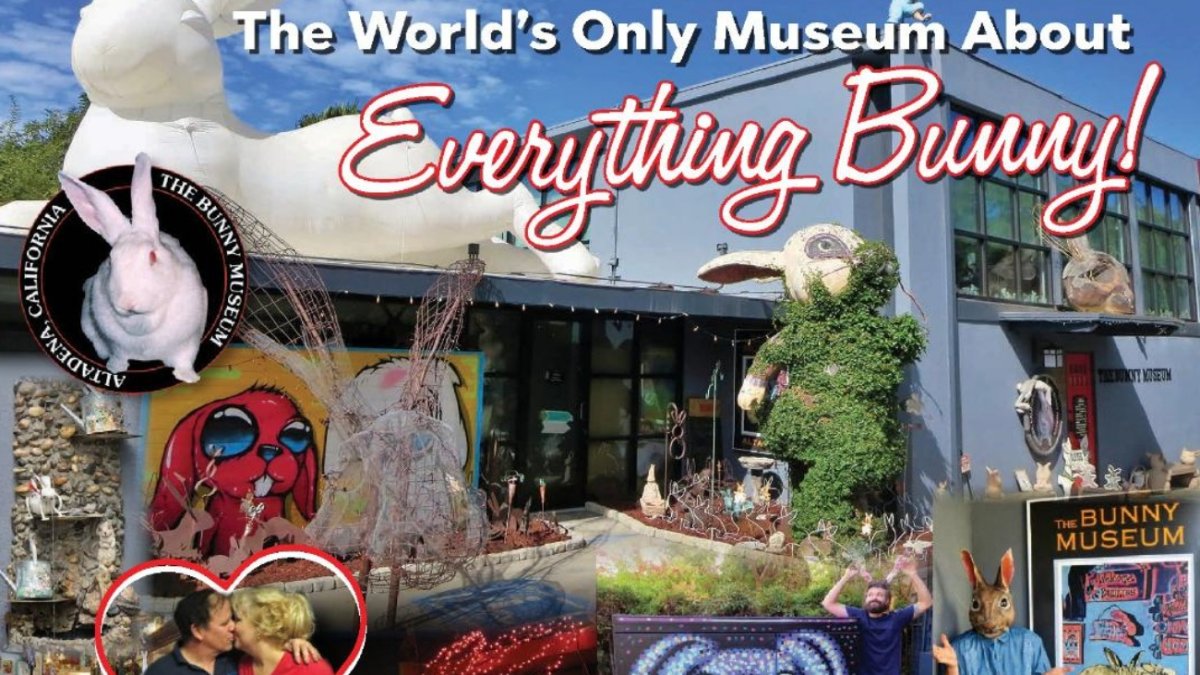 The Bunny Museum, a quirky Altadena gem, vows to rebuild – NBC Los Angeles
