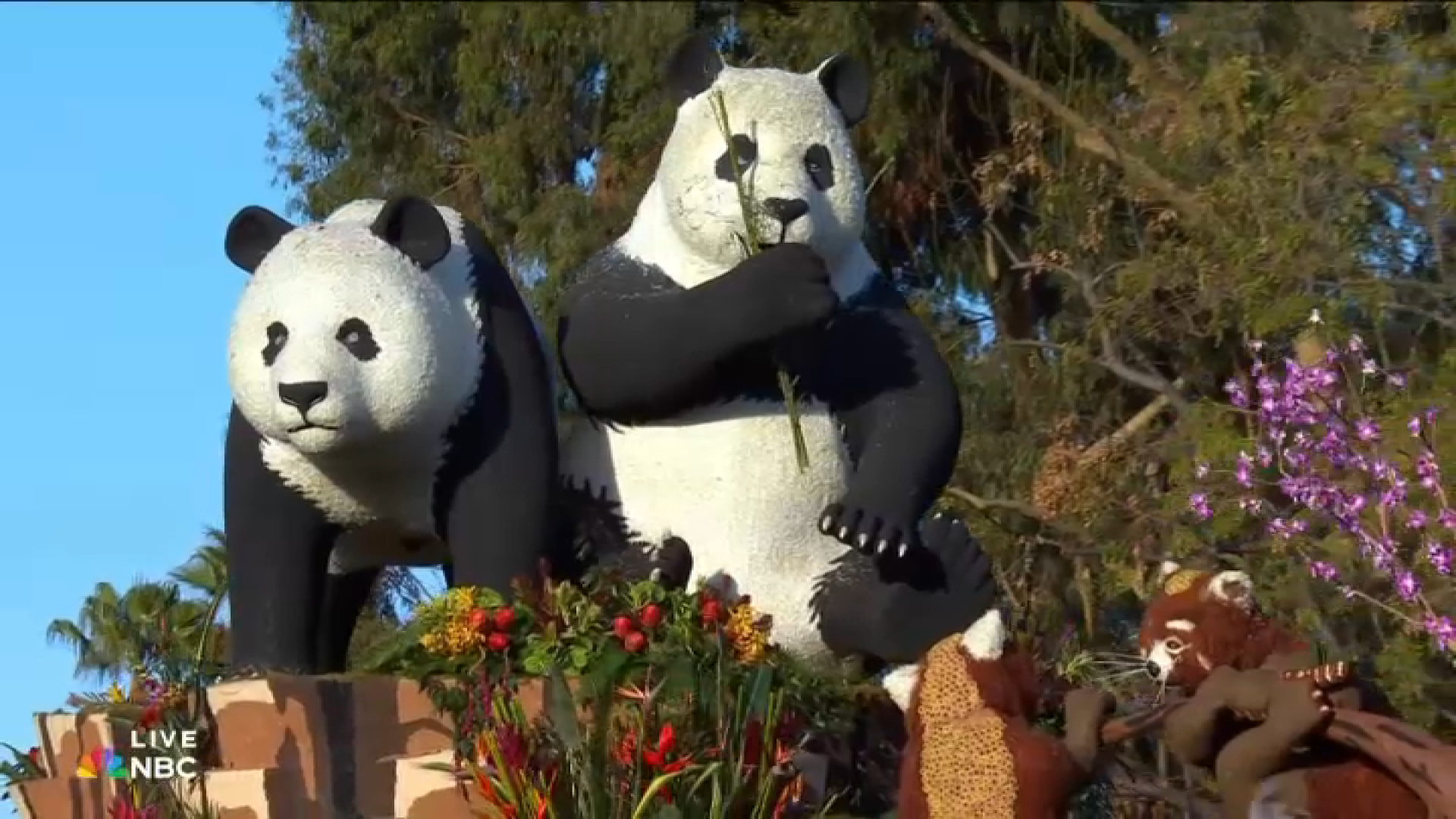 Photos: Scenes from the 2025 Rose Parade in Pasadena – NBC Los Angeles