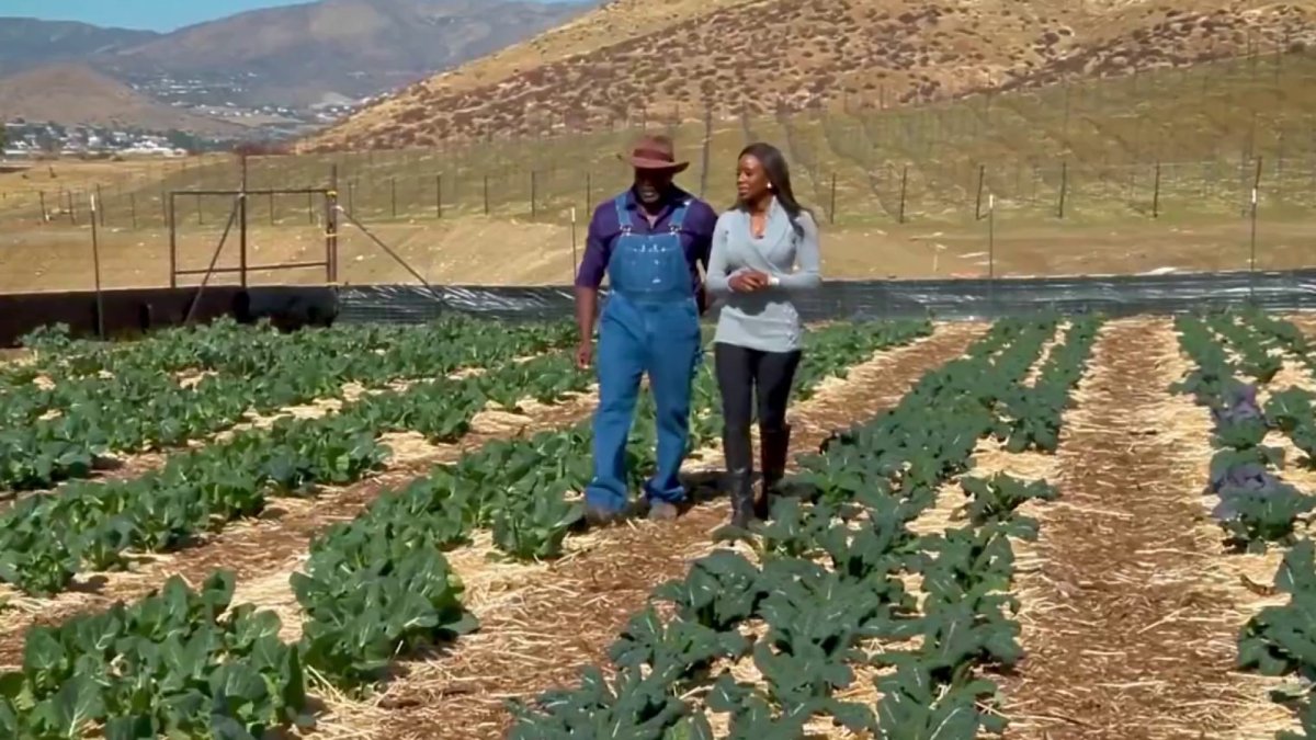 Check out LA County’s largest Black-Owned farm—a perfect weekend ...