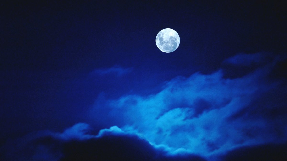 Take an enchanted ramble by the light of the Wolf Moon at LA Arboretum ...