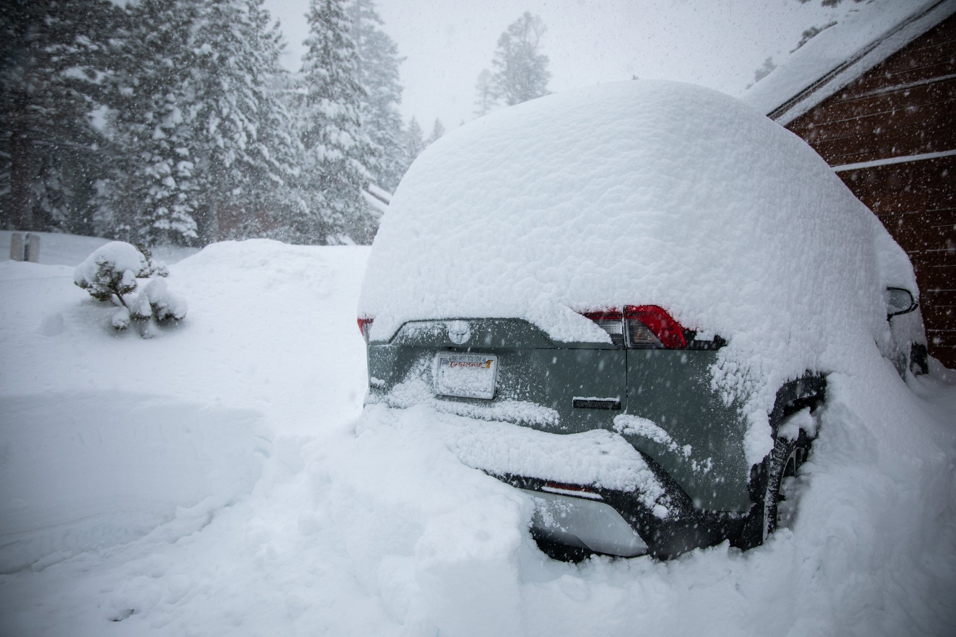 Mammoth gets majorly frosted as snow pups and skiers rejoice – NBC Los ...
