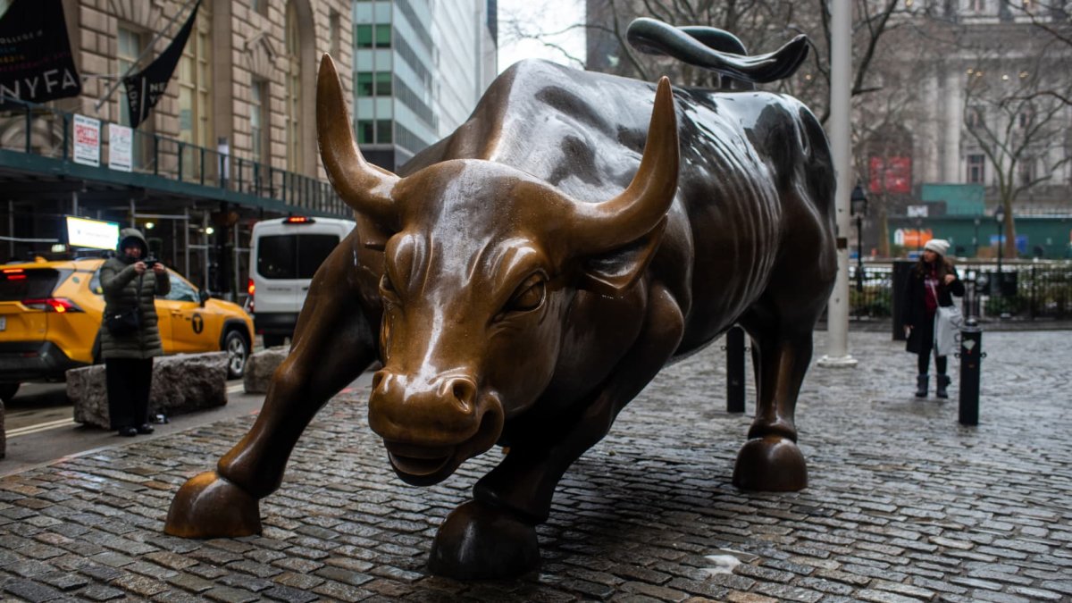 From Nvidia to Palantir and Tesla, investors are getting an education ...