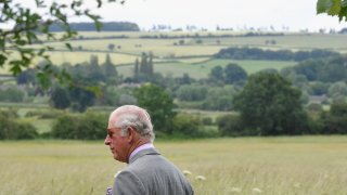 From crop rotation to ‘mob-grazed’ livestock: Inside the sustainable ...