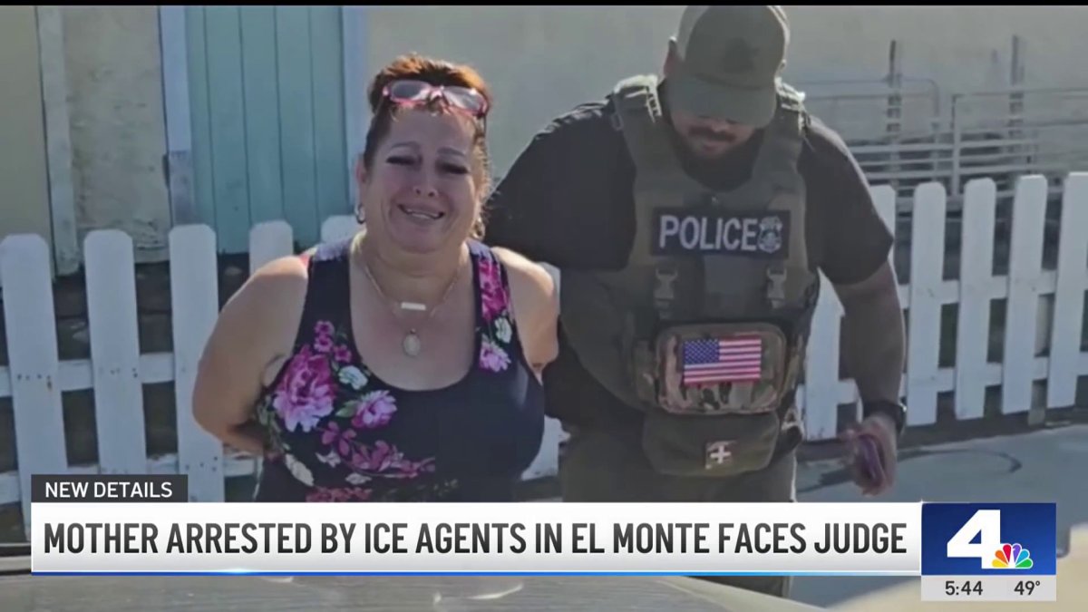 El Monte mother arrested by ICE agents appears in front of immigration ...