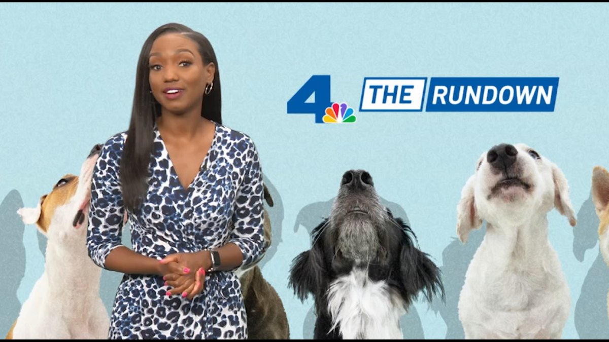 The Rundown: Wednesday March 26, 2025 – NBC Los Angeles