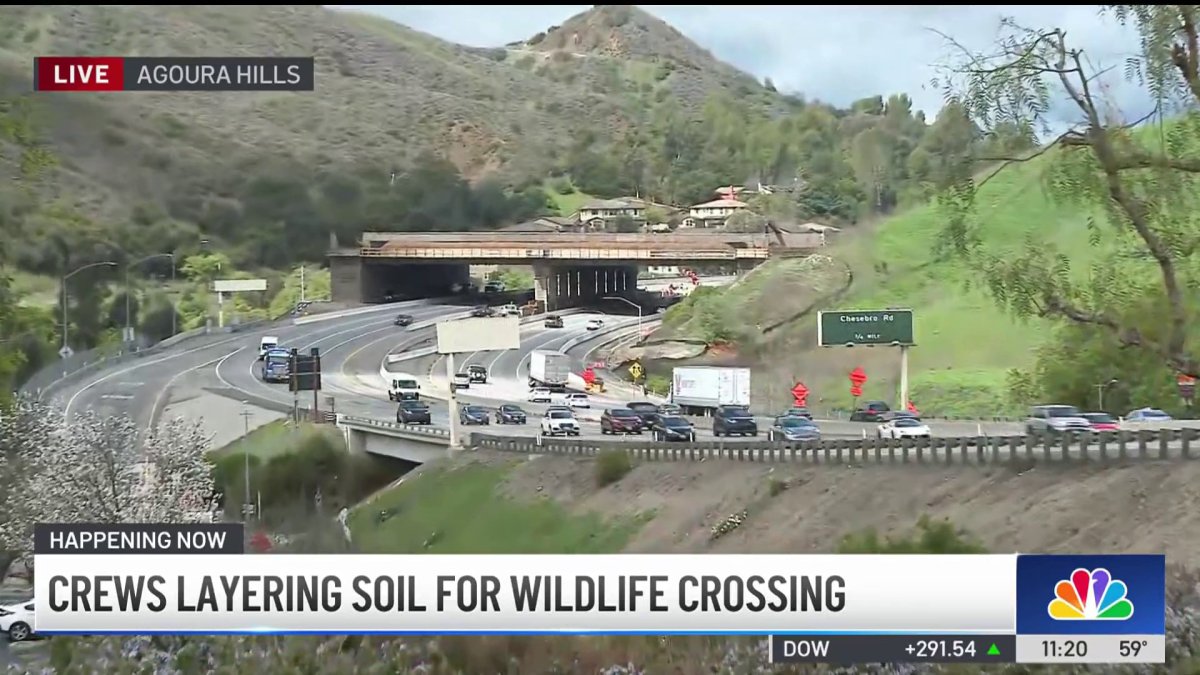 First soil added to 101 Freeway wildlife crossing in Agoura Hills – NBC ...
