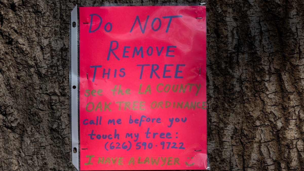 Altadena conservation group rallies to save local trees – NBC Los Angeles