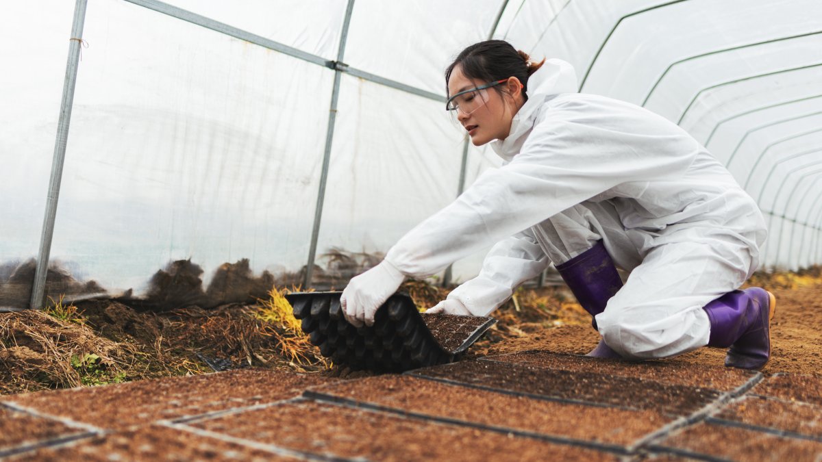 Scientists need more money to shield farming from climate change – NBC ...