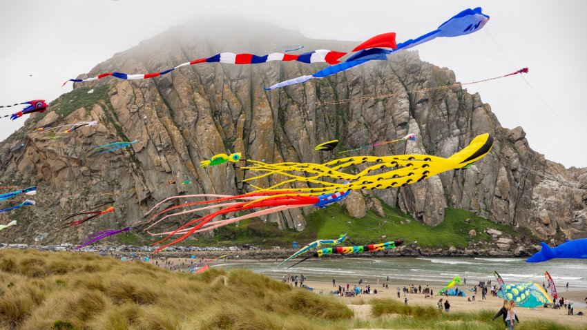 The free ‘Morro Bay Kite Festival’ to soar near the big rock in April ...