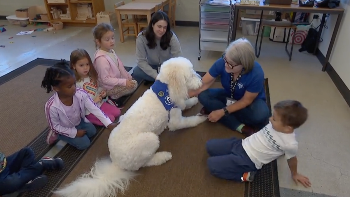 Therapy dogs comfort children adjusting to a new normal after the Eaton ...