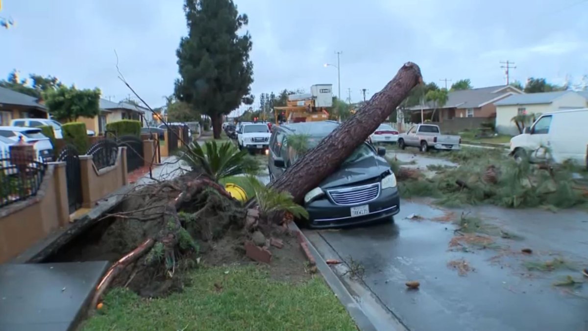 Pico Rivera tornado knocks down trees in LA storm – NBC Los Angeles