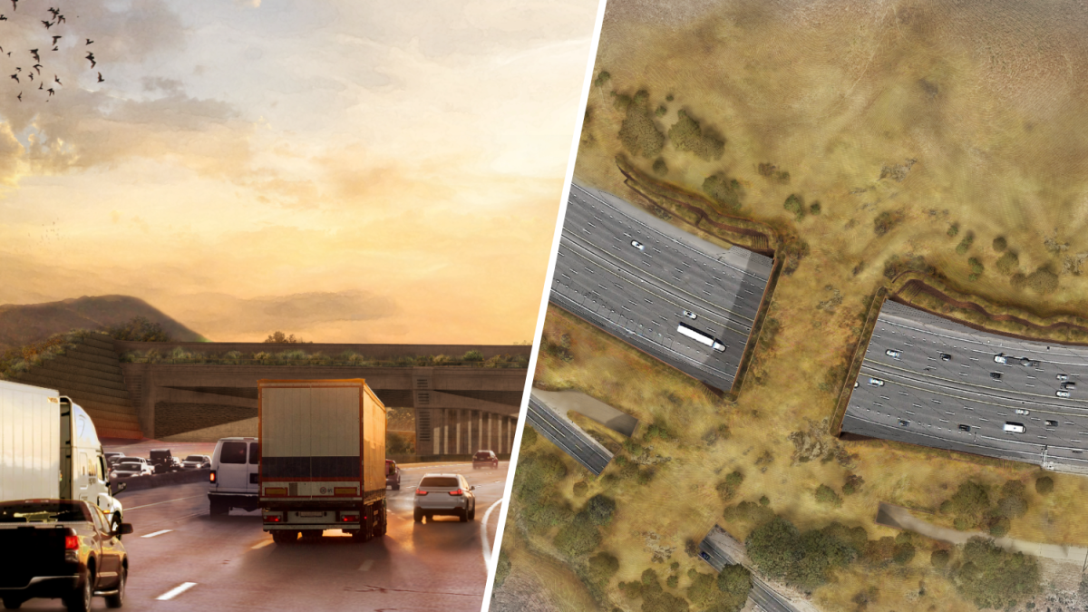 See new LA freeway wildlife crossing renderings – NBC Los Angeles