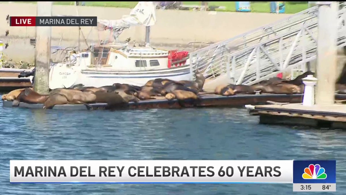 Marina del Rey turns 60 years old – NBC Los Angeles