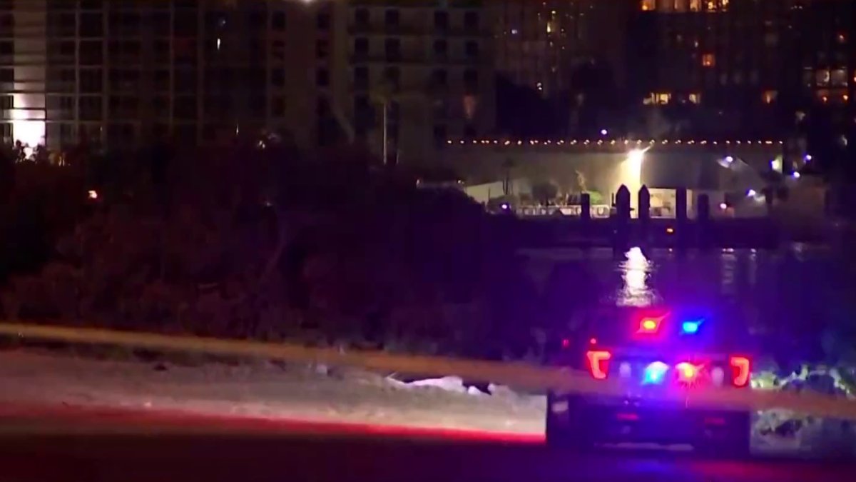 Multiple injuries reported after boat hits ferry in Florida – NBC Los ...