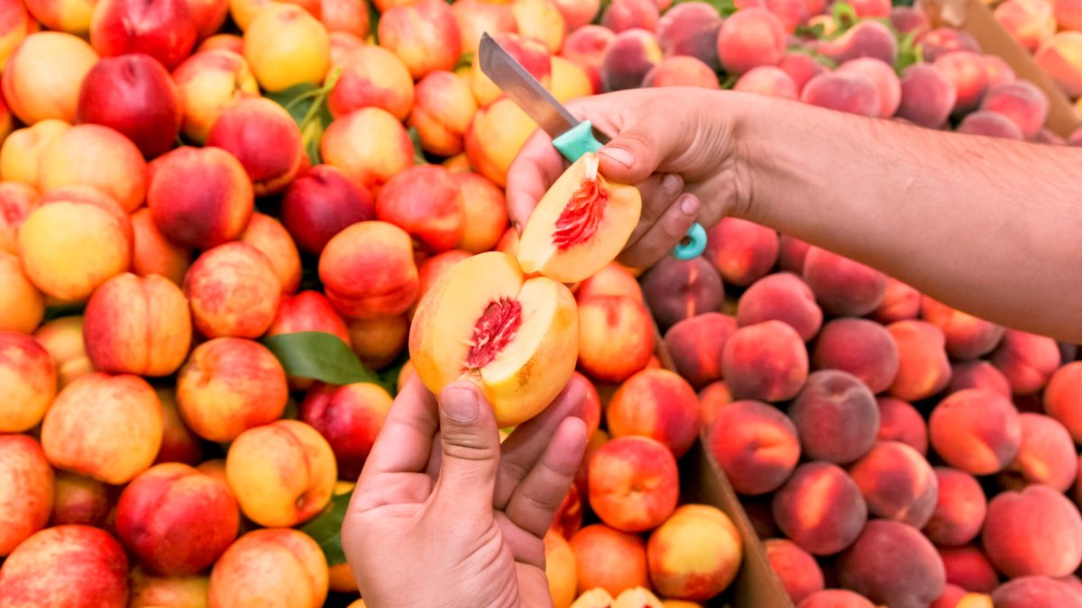 Modesto’s ‘Farmstand Season’ is ripe with tasty picks and a fruitful ...