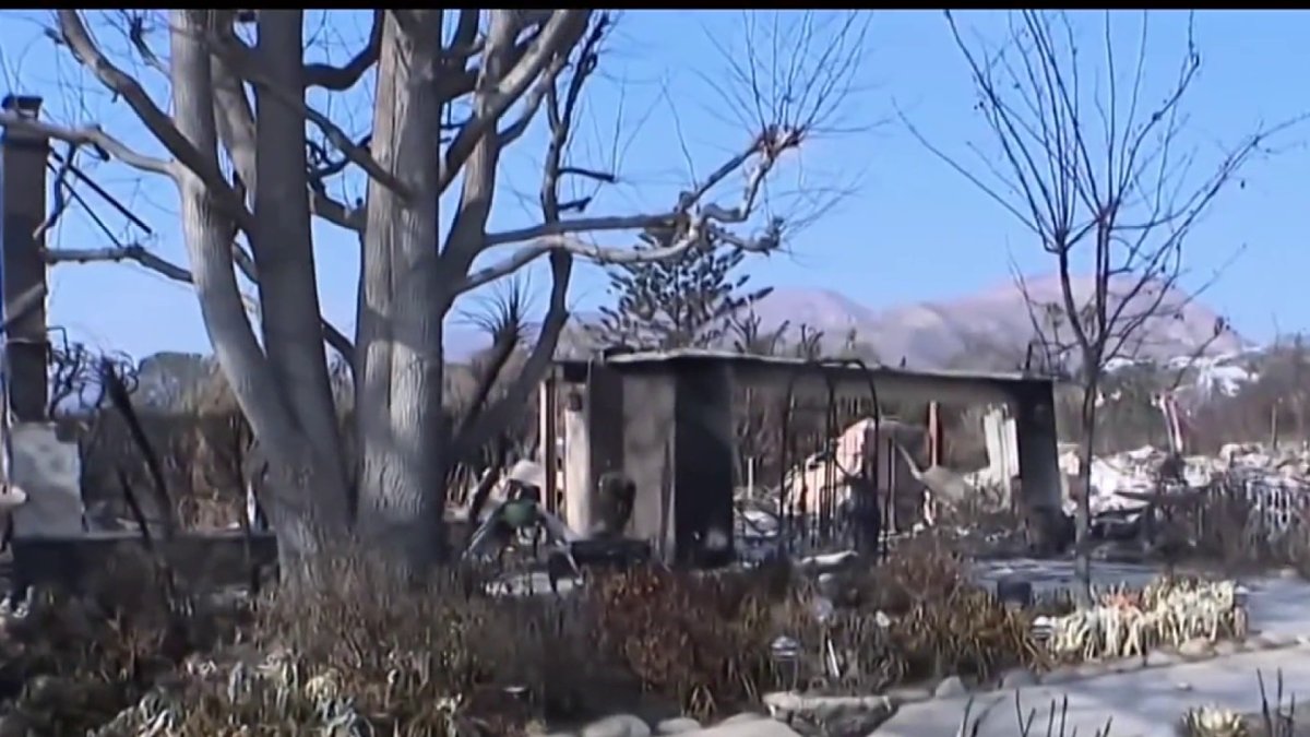 Soil test finds high level of lead in Eaton burn area – NBC Los Angeles