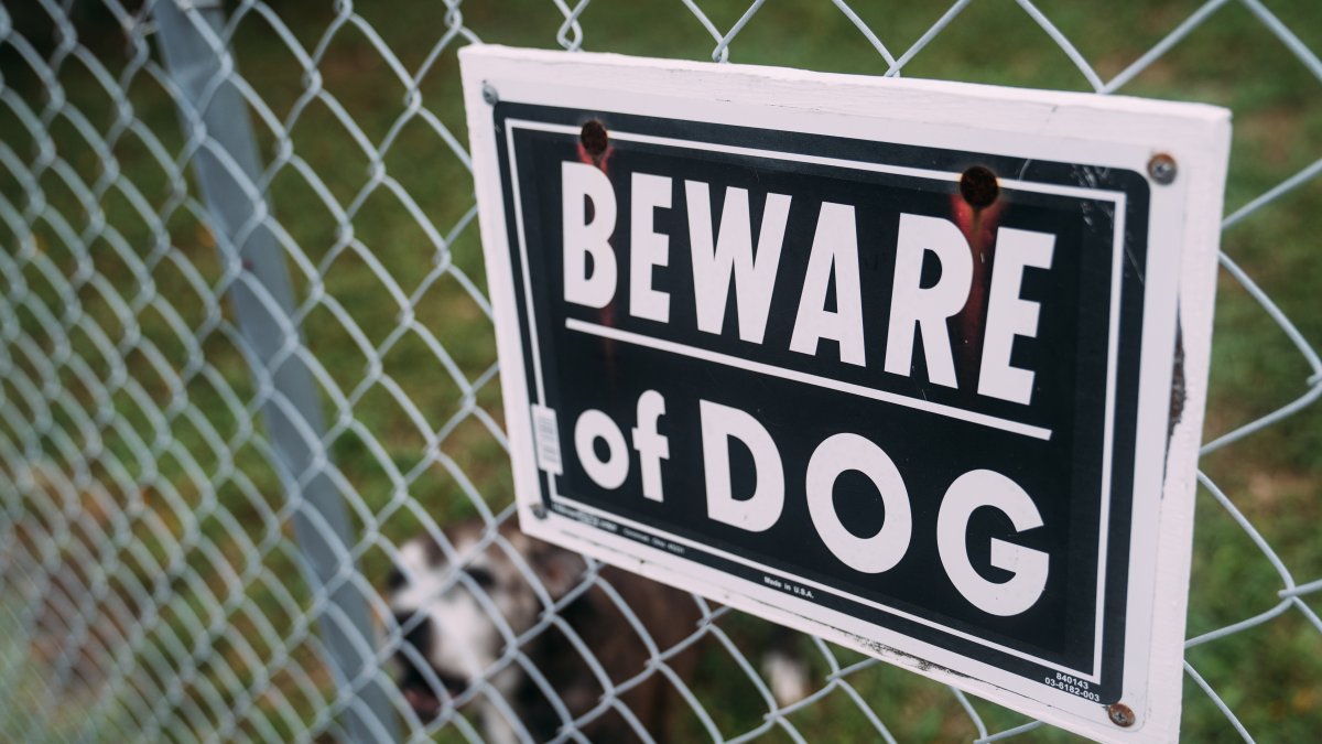 USPS Report: LA leads nation in dog attacks on mail carriers – NBC Los ...