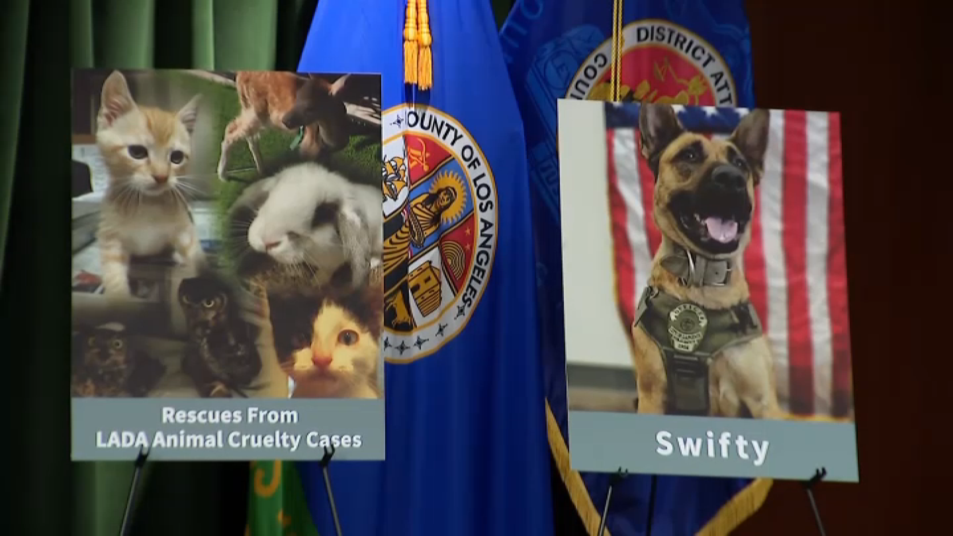 LA authorities pledge ‘zero tolerance’ against animal cruelty – NBC Los ...